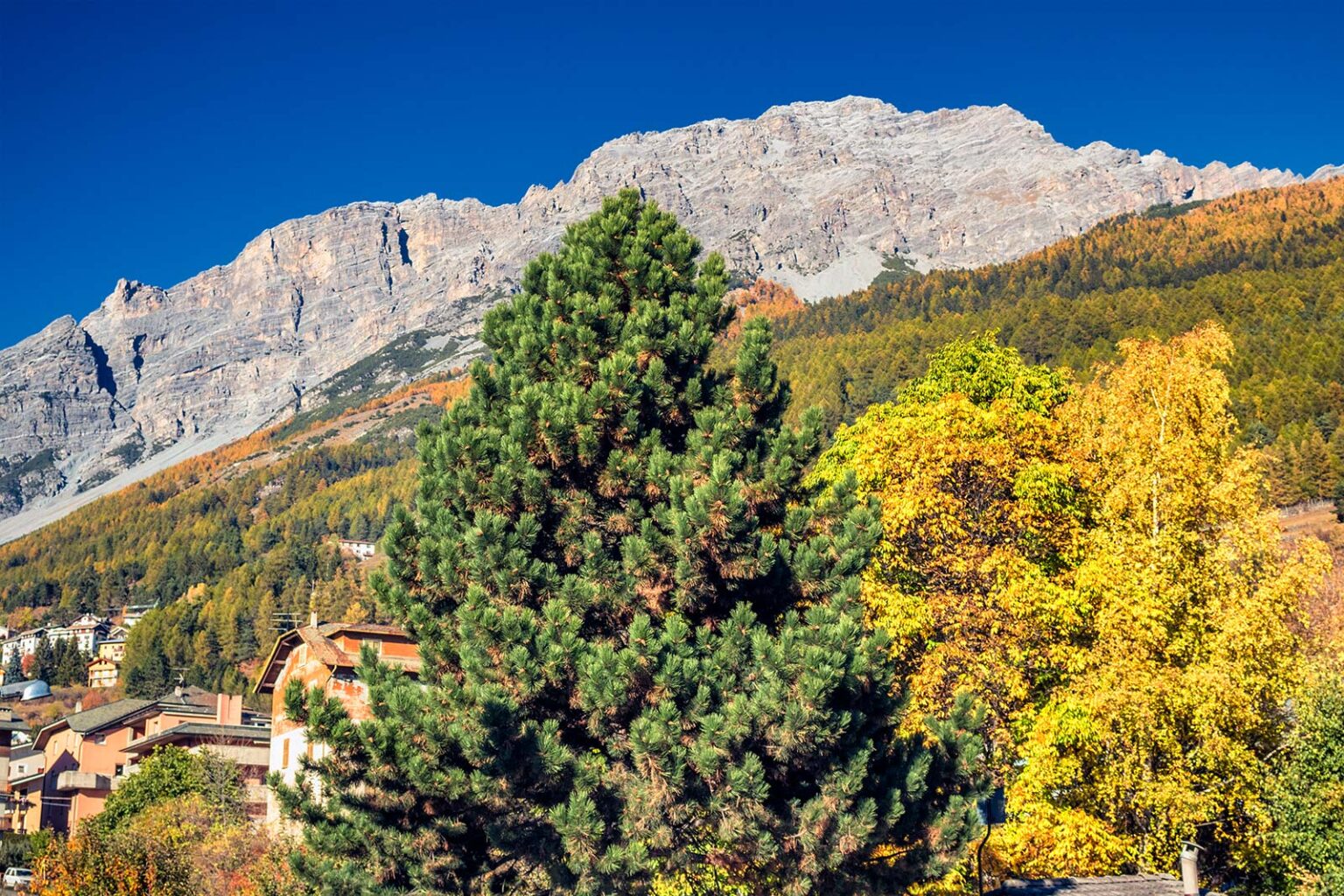 Cosa Fare a Bormio: tra Terme Segrete, Liquori di Erbe e Tradizioni